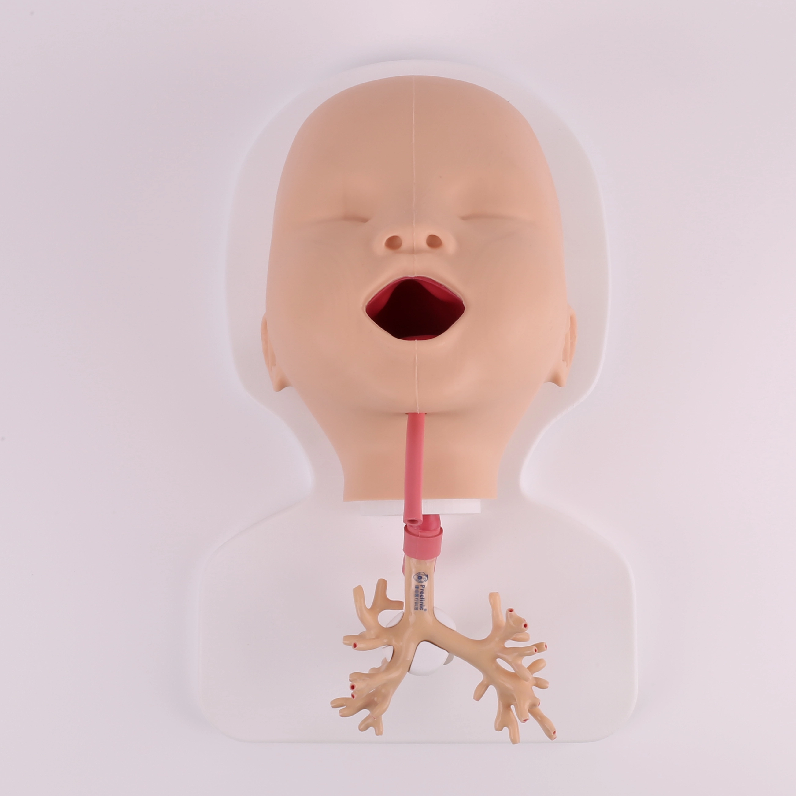Pediatric Bronchoscope Simulation Model Manufacturer | Preclinic Medtech