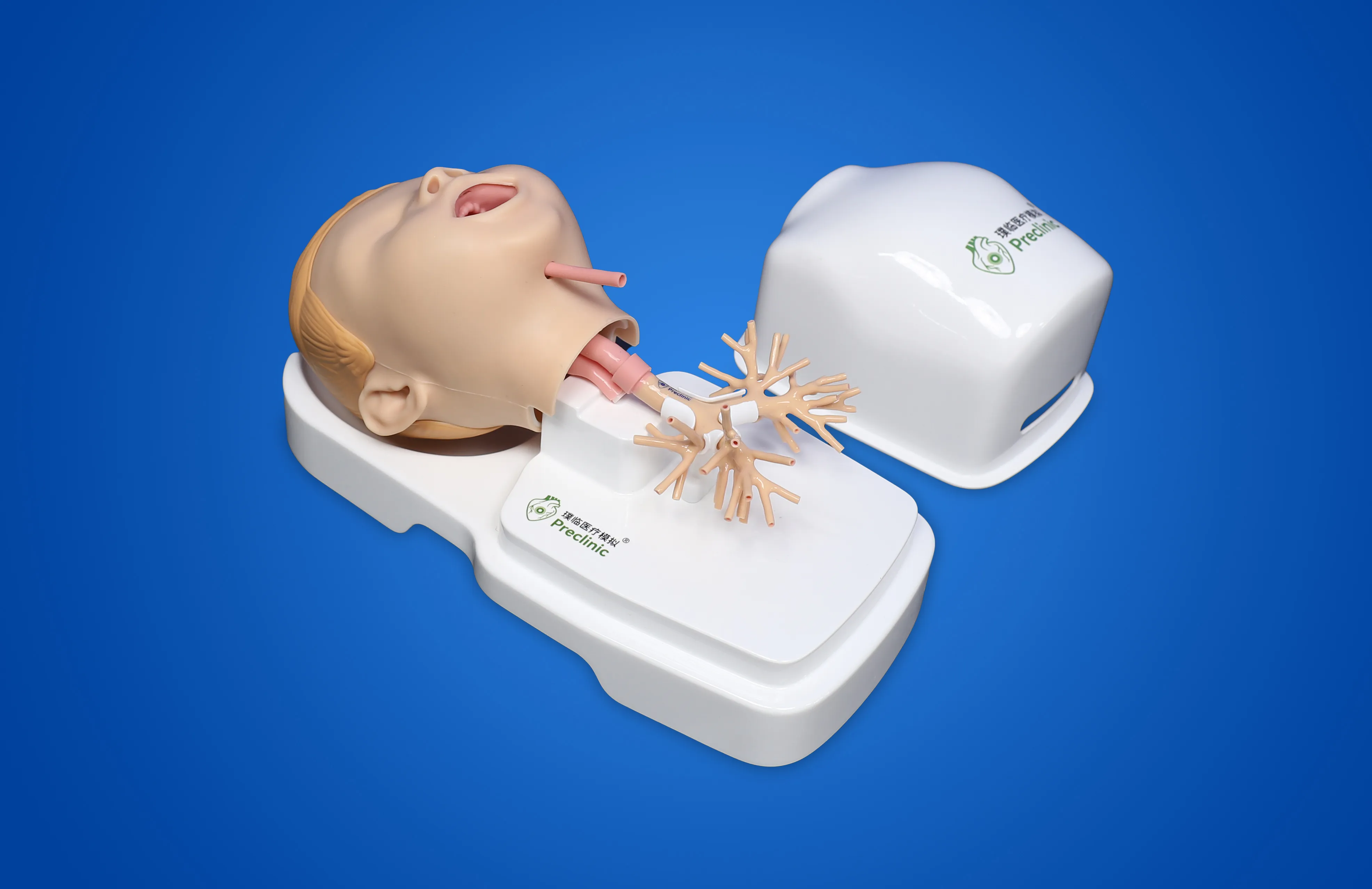 Pediatric Bronchoscope Simulation Model Manufacturer | Preclinic Medtech
