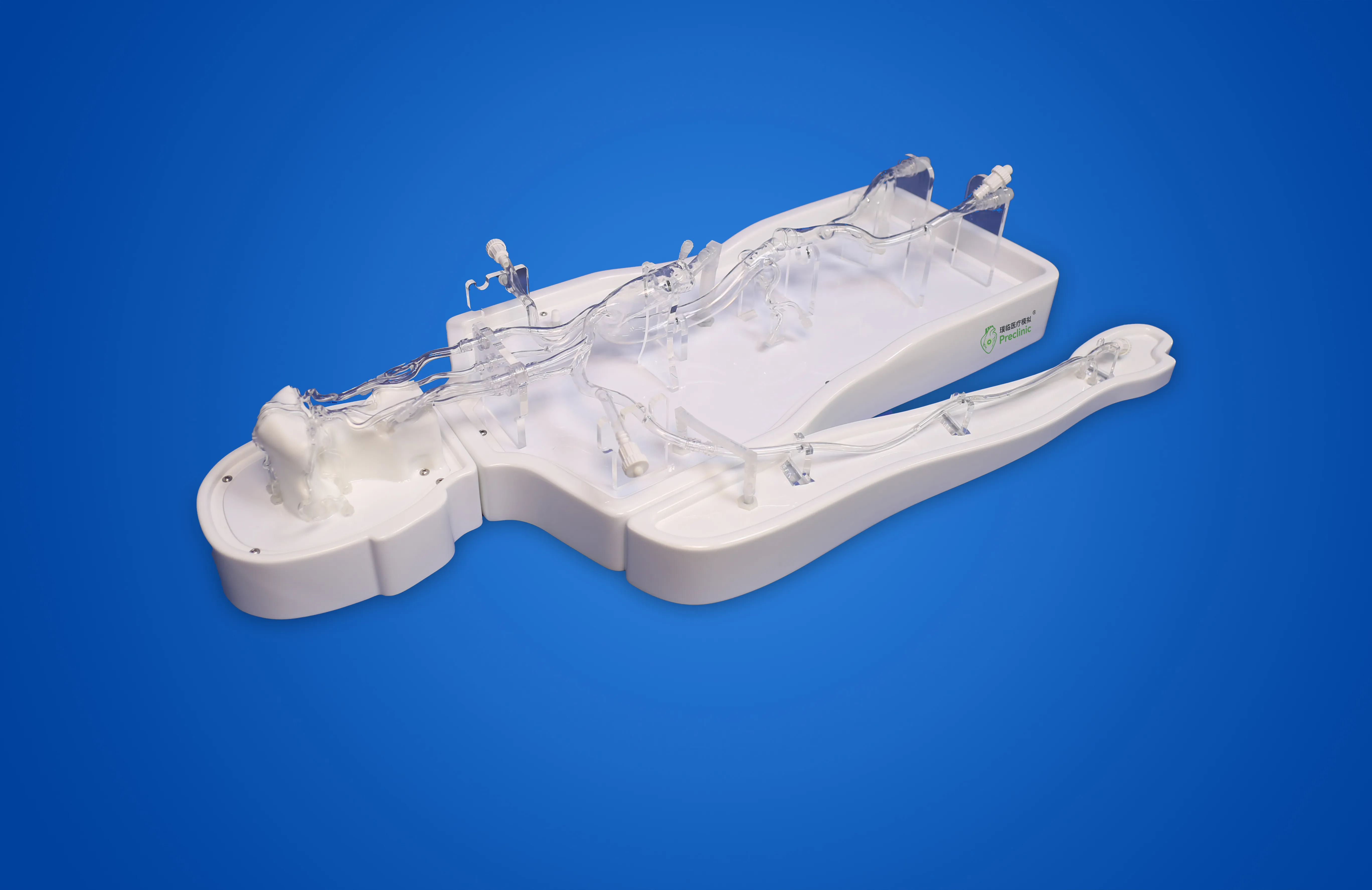 Neurovascular Operation Training Model-Type A | Preclinic Medte