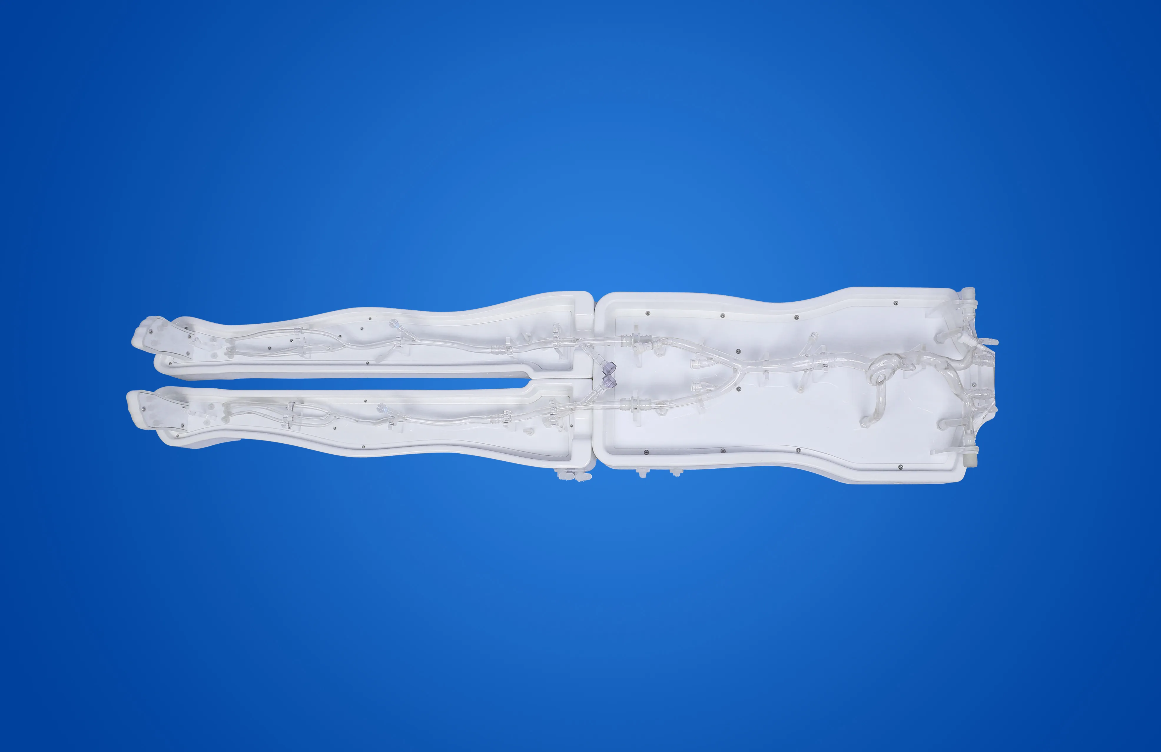 Lower Extremity Artery Simulation Model Manufacturer | Preclinic Medtech
